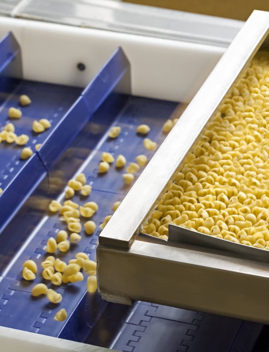 Automatic continous Short cut pasta line - Italpast