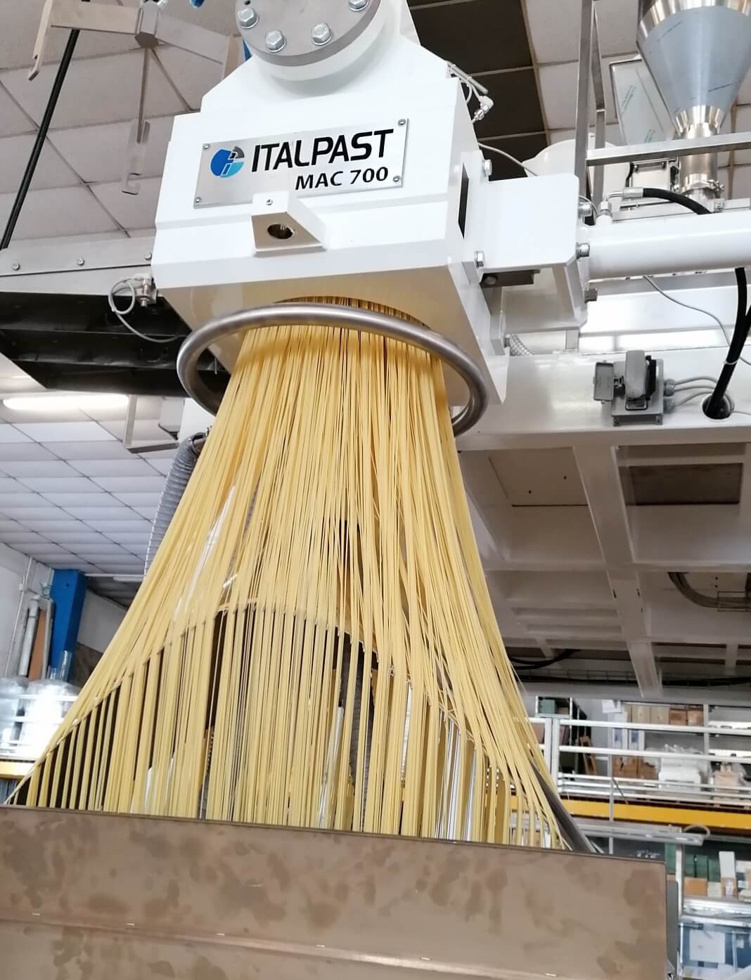 Multiple line - Italpast