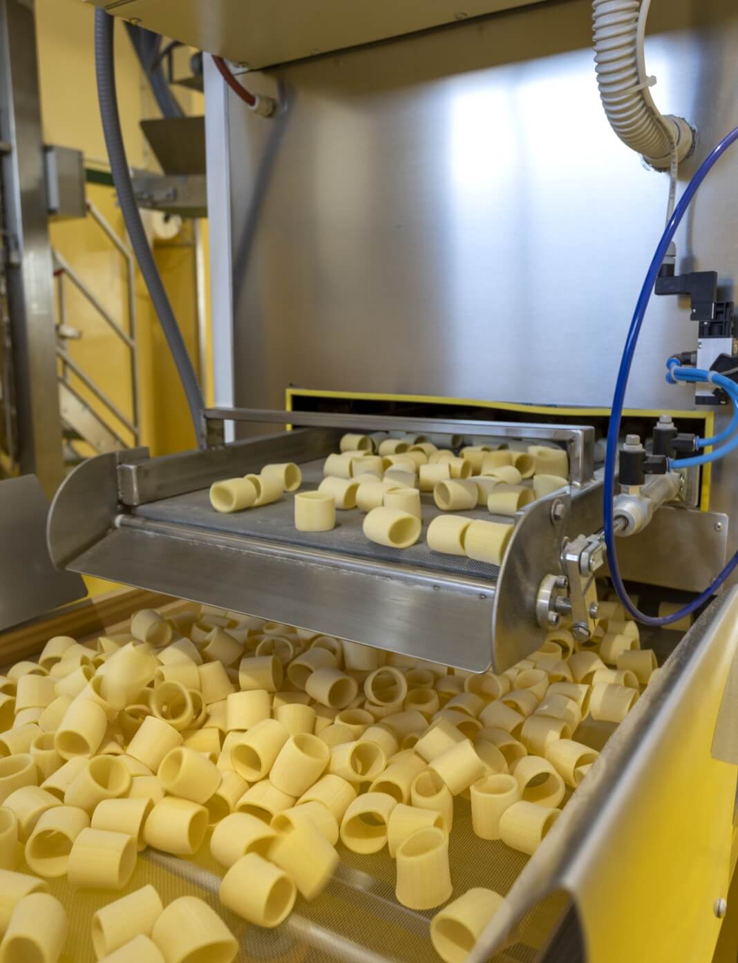 Short pasta - Italpast