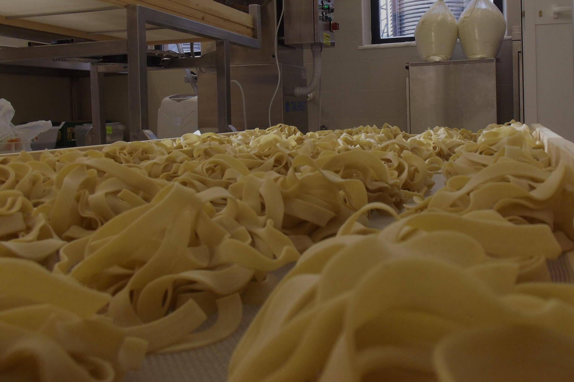 Artisanal Dry Pasta Machine | Italpast