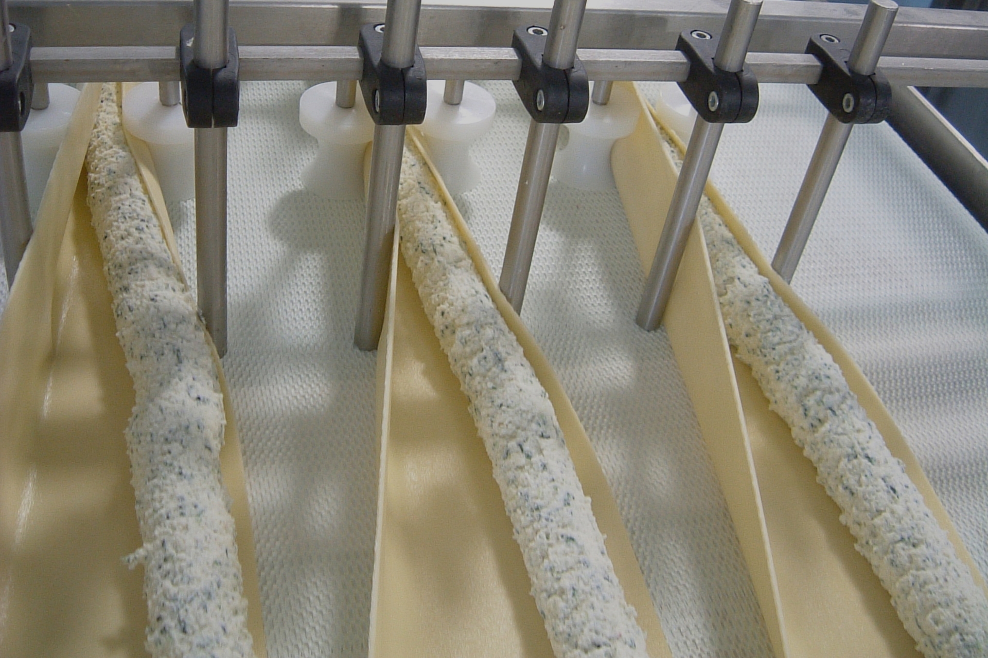 Pre-Cooked Pasta Machines | Italpast